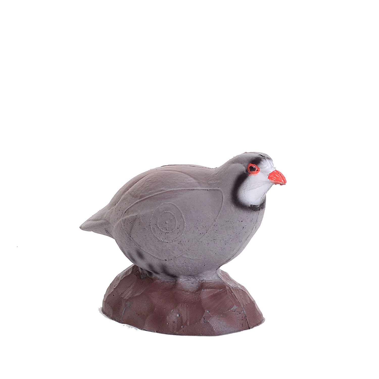 IBB Rots Patrijs Hen